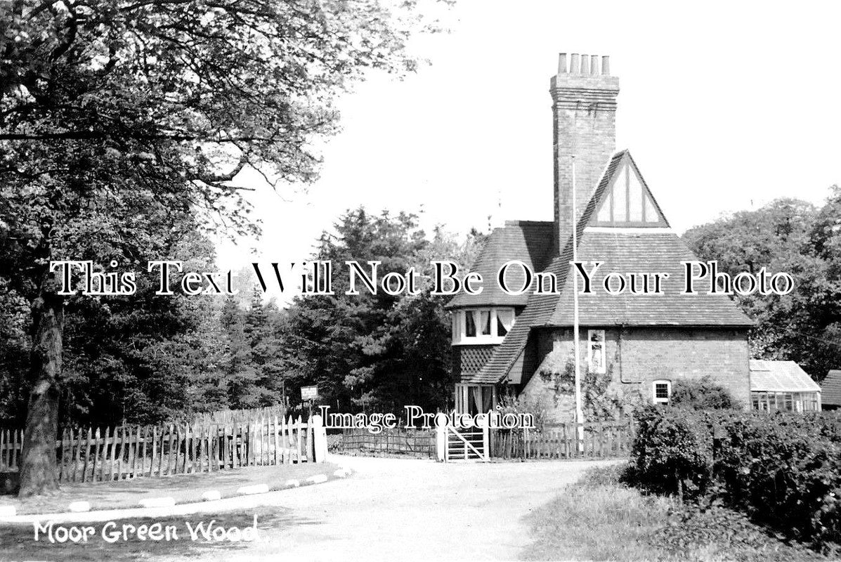 NT 885 - Moorgreen Wood, Eastwood, Nottinghamshire – JB Archive