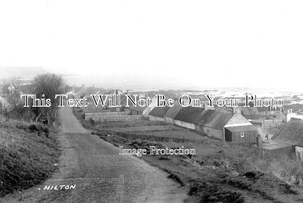 SC 2483 - Hilton Fearn, Scotland – JB Archive