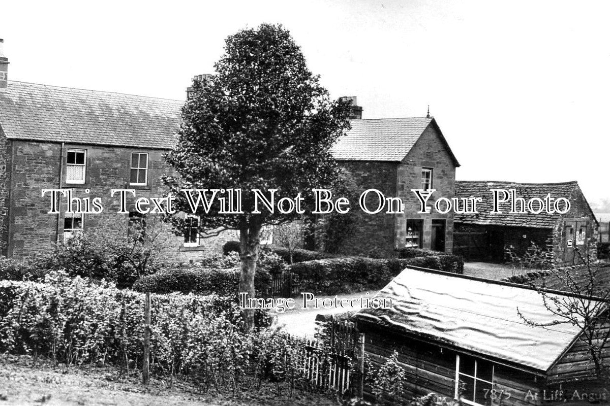 SC 305 - At Liff, Angus, Scotland – JB Archive