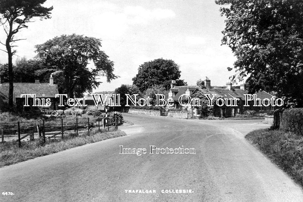 SC 3321 - Trafalgar Collessie, Fife, Scotland – JB Archive