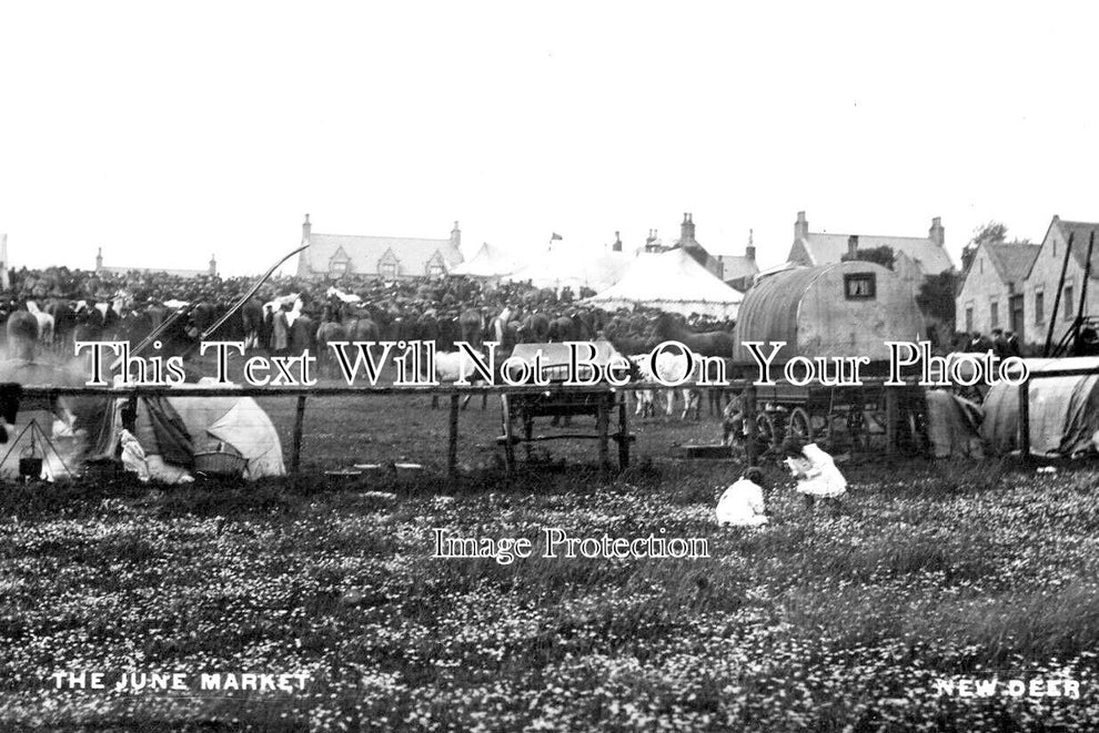 SC 357 - The June Market, New Deer, Cuminestown, Scotland 1913 – JB Archive