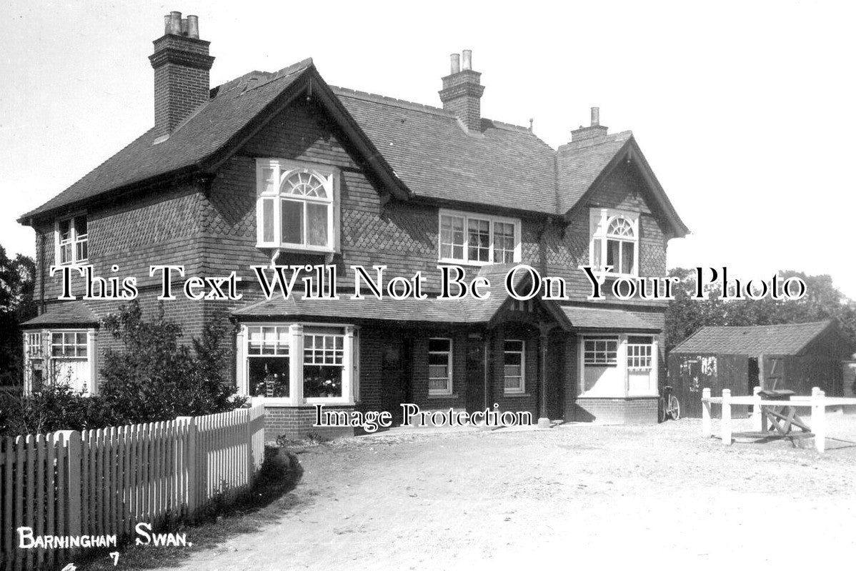 SF 3501 - Barningham Swan, Suffolk – JB Archive