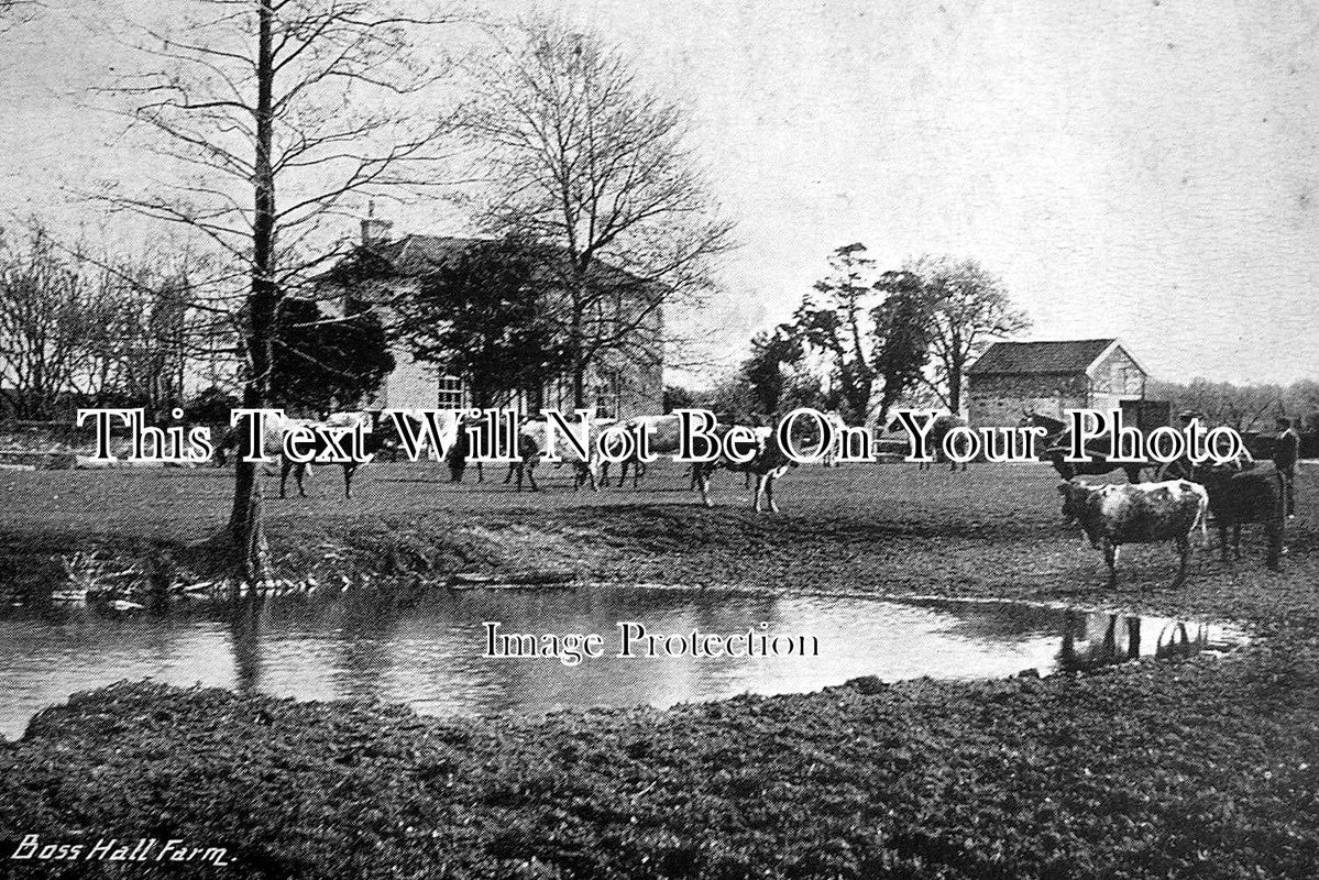 SF 544 - Boss Hall Farm, Sproughton Road, Ipswich, Suffolk c1905 – JB ...
