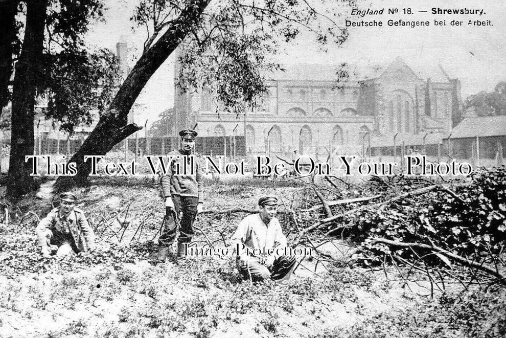 SH 940 - POW Camp, Abbey Forgate, Shrewsbury, Shropshire – JB Archive