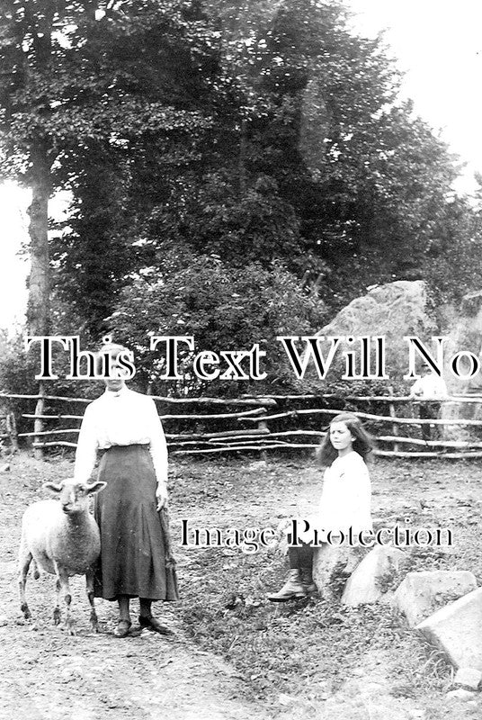 SO 1533 - Dando Farm, Compton Dando, Somerset – JB Archive