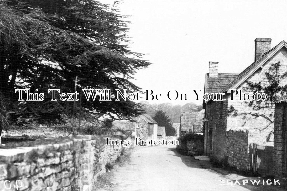 SO 544 - Shapwick, Somerset – JB Archive