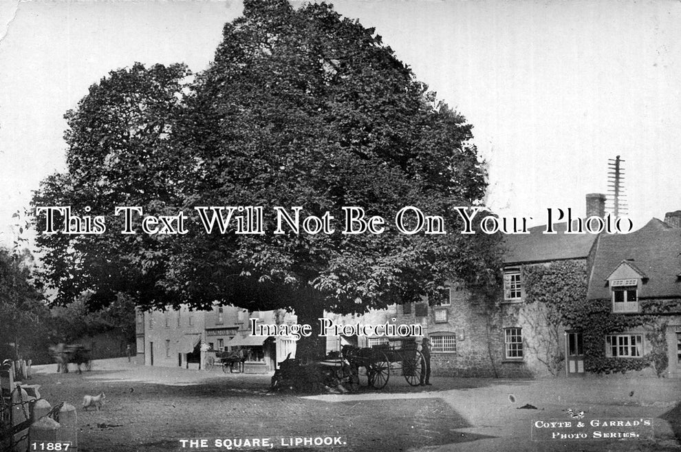 SP 114 - The Square, Liphook, Surrey – JB Archive