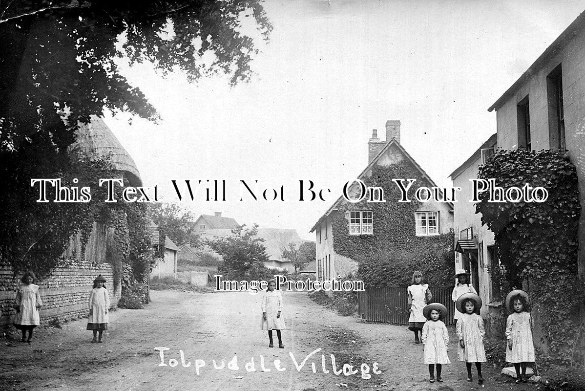 SP 263 - Tolpuddle Village, Dorset – JB Archive