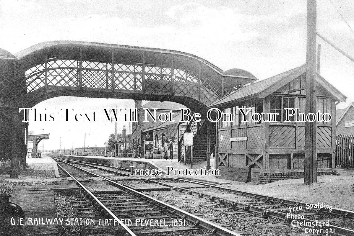 SP 505 - Hatfield Peverel Railway Station, Hertfordshire – JB Archive