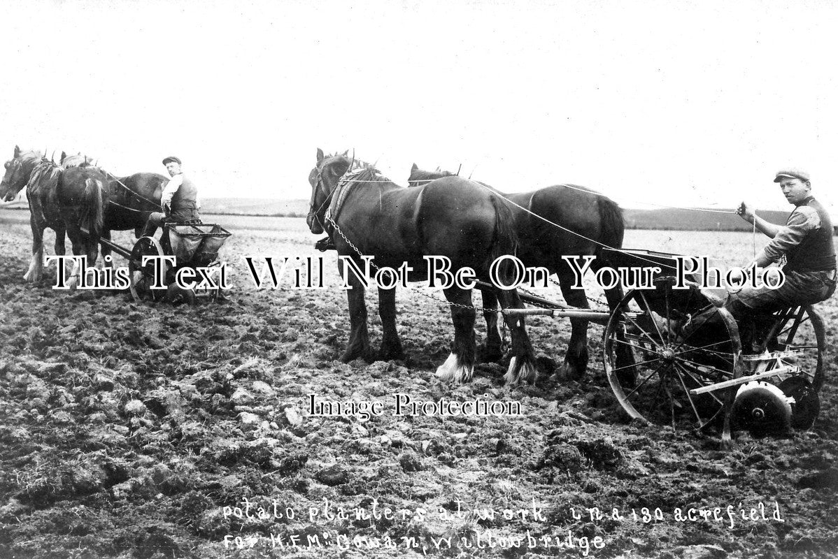 SP 582 - Potato Planting On Cowan Farm, Willowbridge, Yorkshire – JB ...