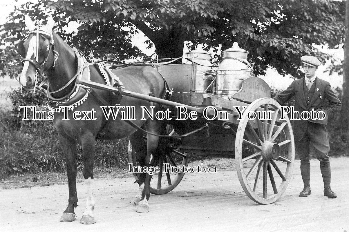 SP 891 - Horse Drawn Milk Cart, Hilton Dairies, Scotland – JB Archive