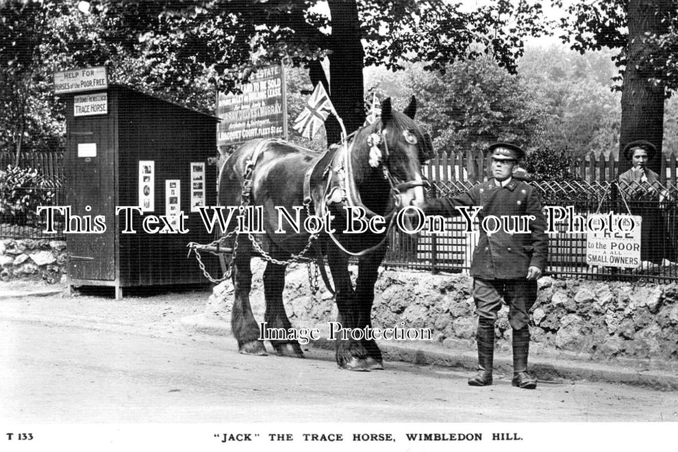SU 1194 - Jack The Trace Horse, Wimbledon Hill, Surrey – JB Archive