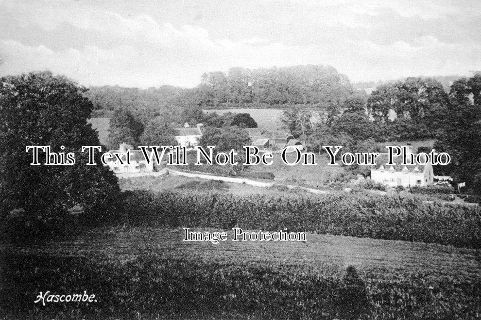 SU 196 - Hascombe, Surrey – JB Archive