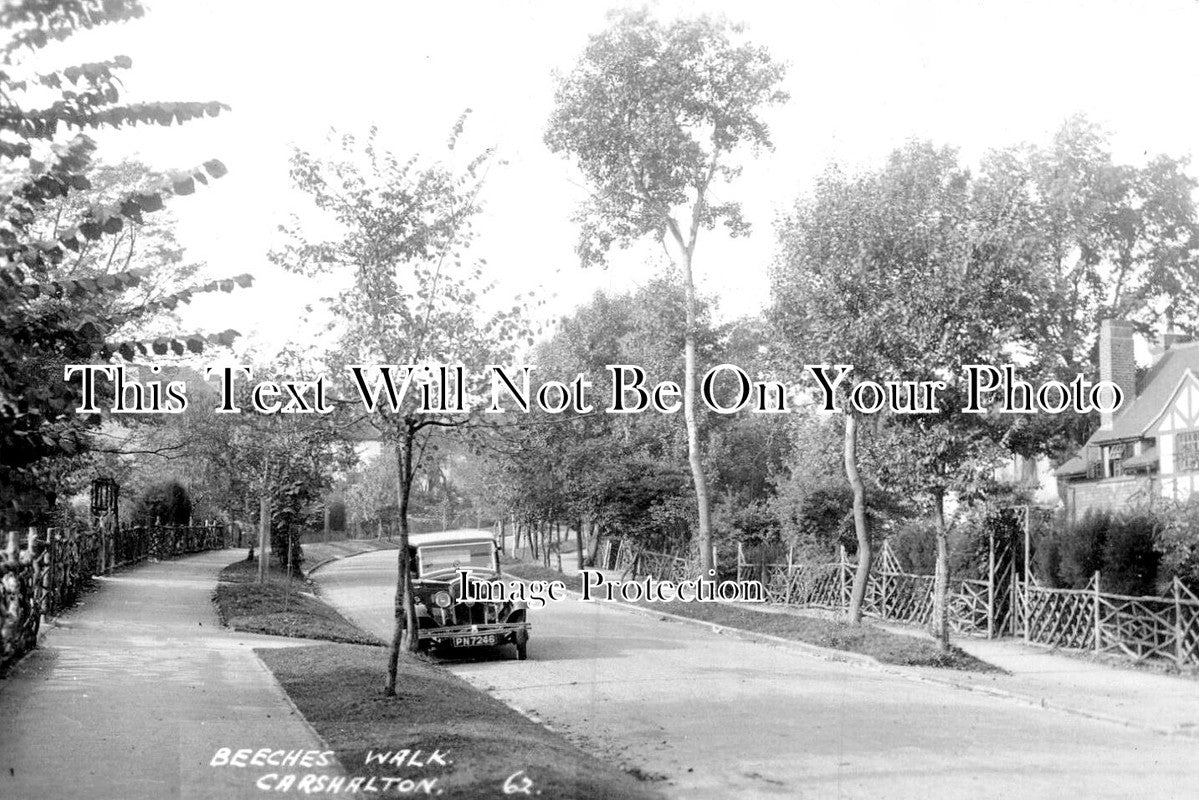 SU 2575 - Beeches Walk, Carshalton, Surrey – JB Archive