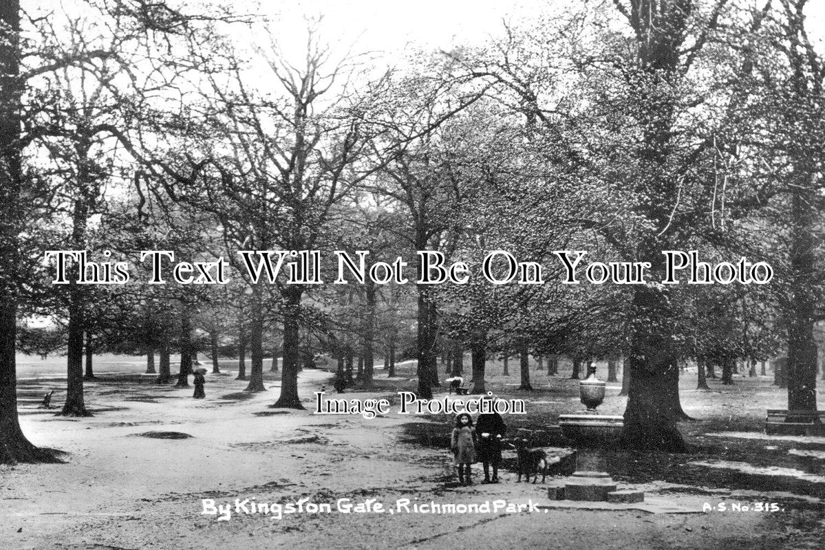 SU 3753 - By Kingston Gate, Richmond Park, Surrey – JB Archive