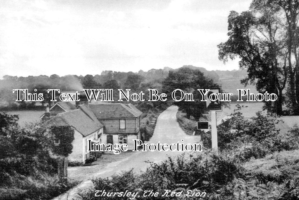 SU 3896 - The Red Lion Pub, Thursley, Surrey – JB Archive