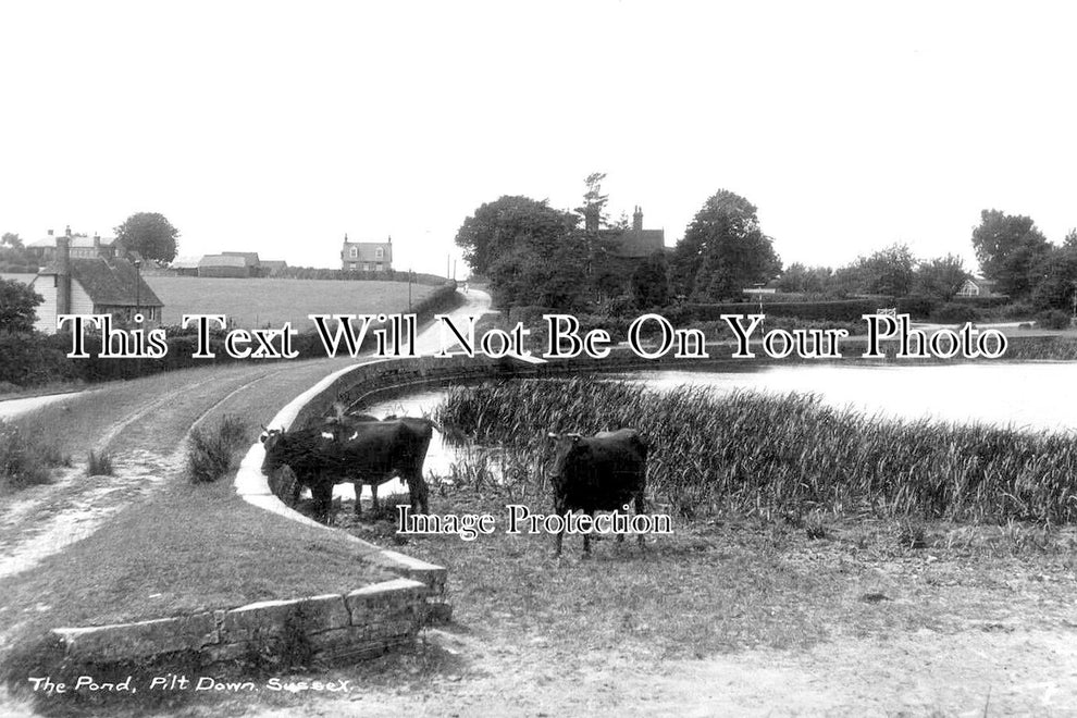 SX 3136 - The Pond, Piltdown, Sussex – JB Archive