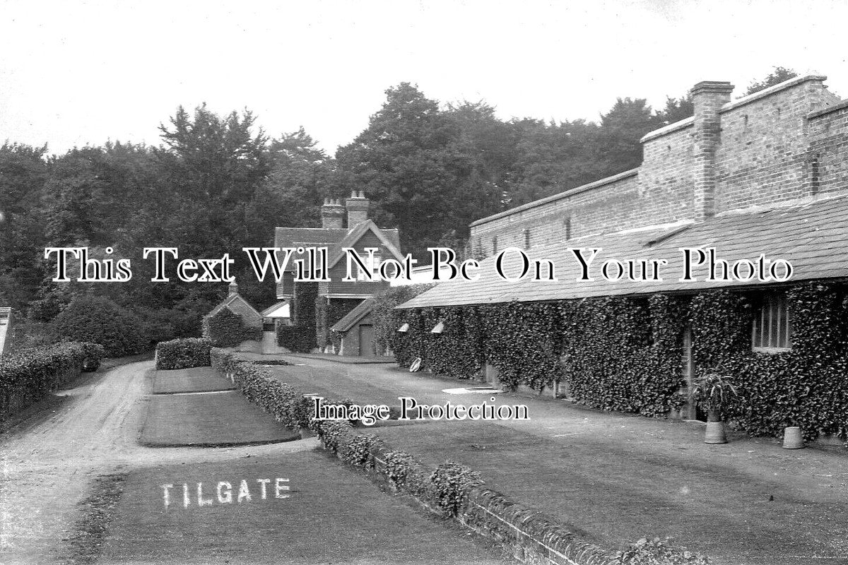 SX 4614 - Tilgate, Sussex – JB Archive