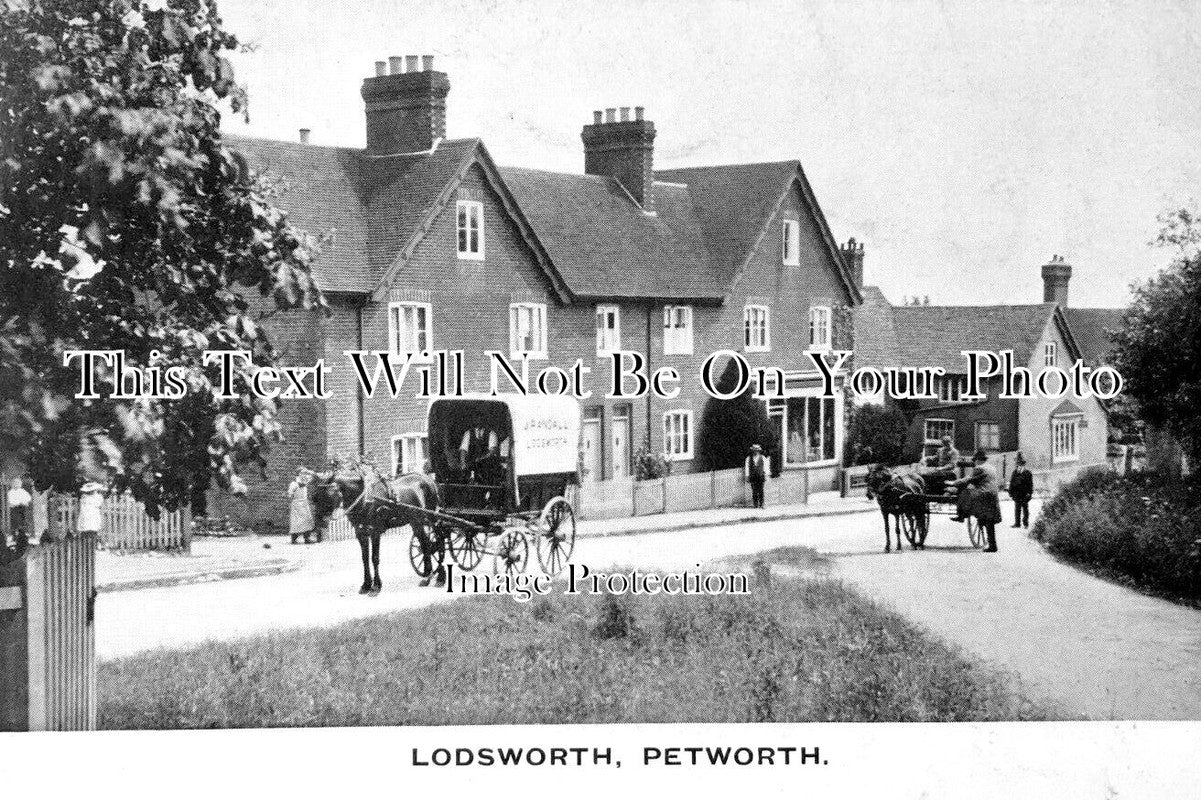 SX 4705 - Lodsworth, Petworth, Sussex c1906 – JB Archive