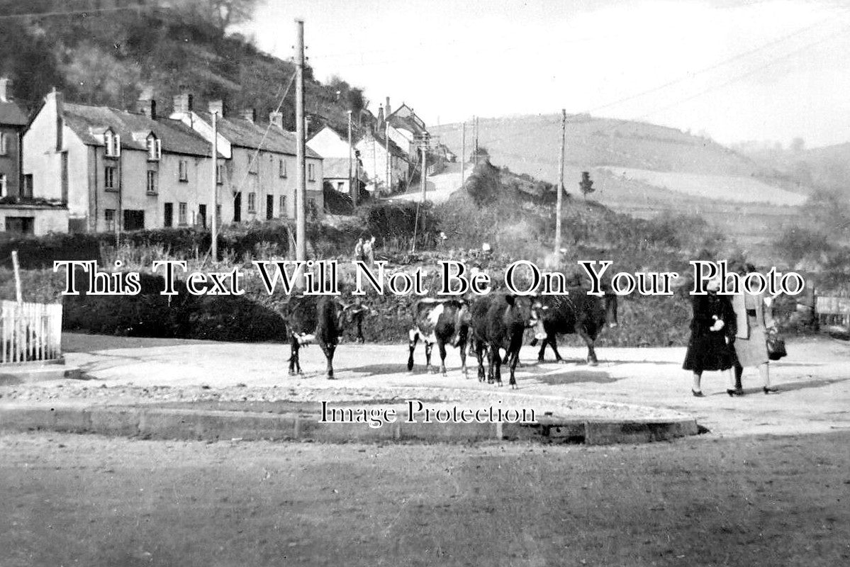 WA 2482 - Station Hill, Swimbridge, Warwickshire – JB Archive