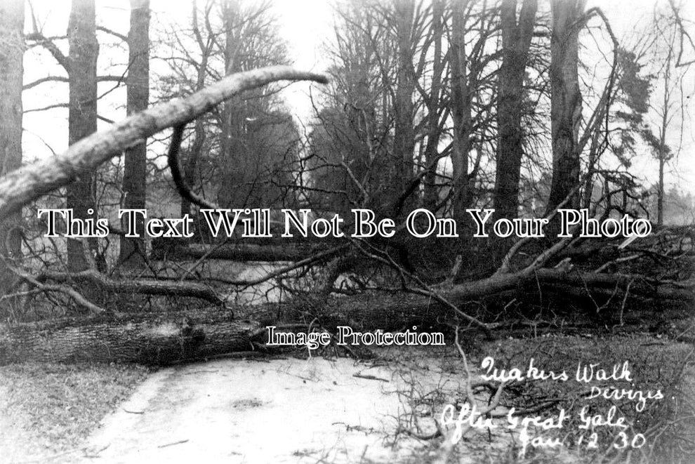 WI 821 - Devizes, Quakers Walk, After The Great Gale, Wiltshire 1930 ...