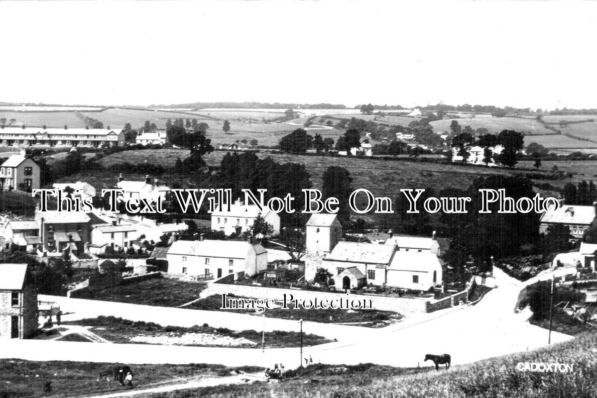 WL 1043 - Cadoxton, Wales – JB Archive