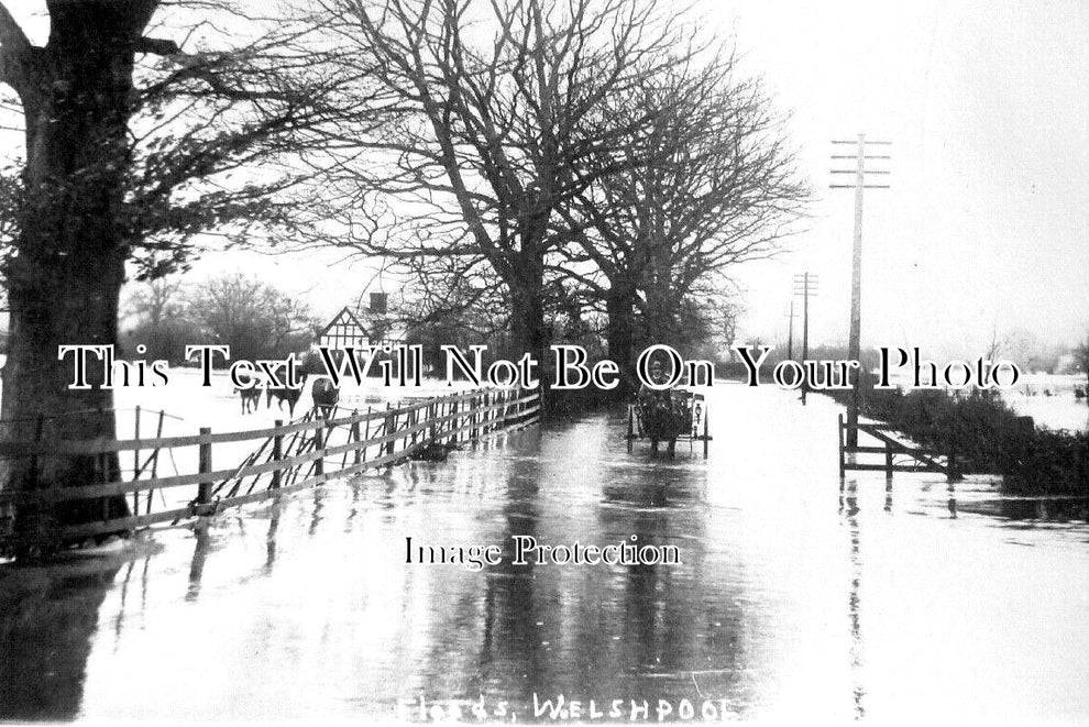 WL 451 - Floods, Welshpool, Powys, Wales – JB Archive