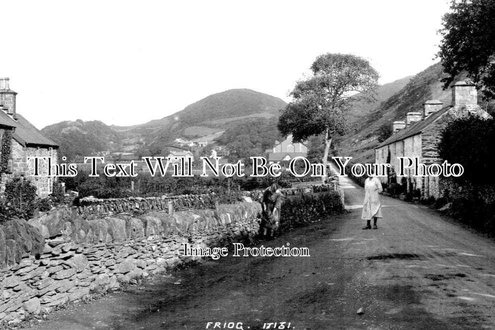 WL 570 - Friog, Wales – JB Archive