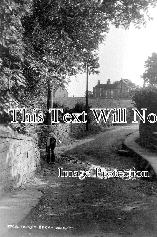 YO 12359 - Thorpe Beck, Yorkshire – JB Archive