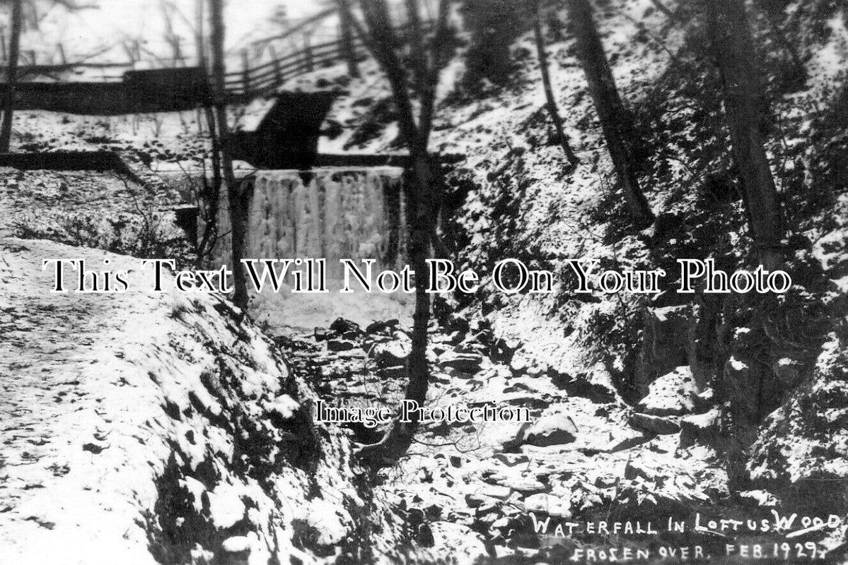 YO 12811 - Waterfall In Loftus Wood, Yorkshire 1929 – JB Archive
