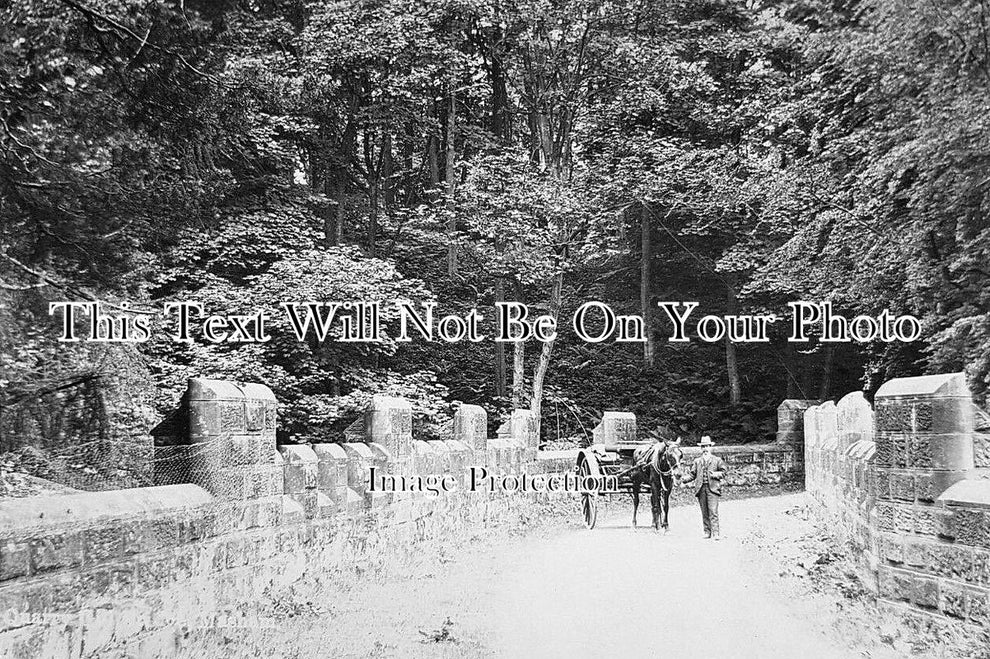 YO 12937 - Quarry Gill Bridge, Masham, Yorkshire – JB Archive