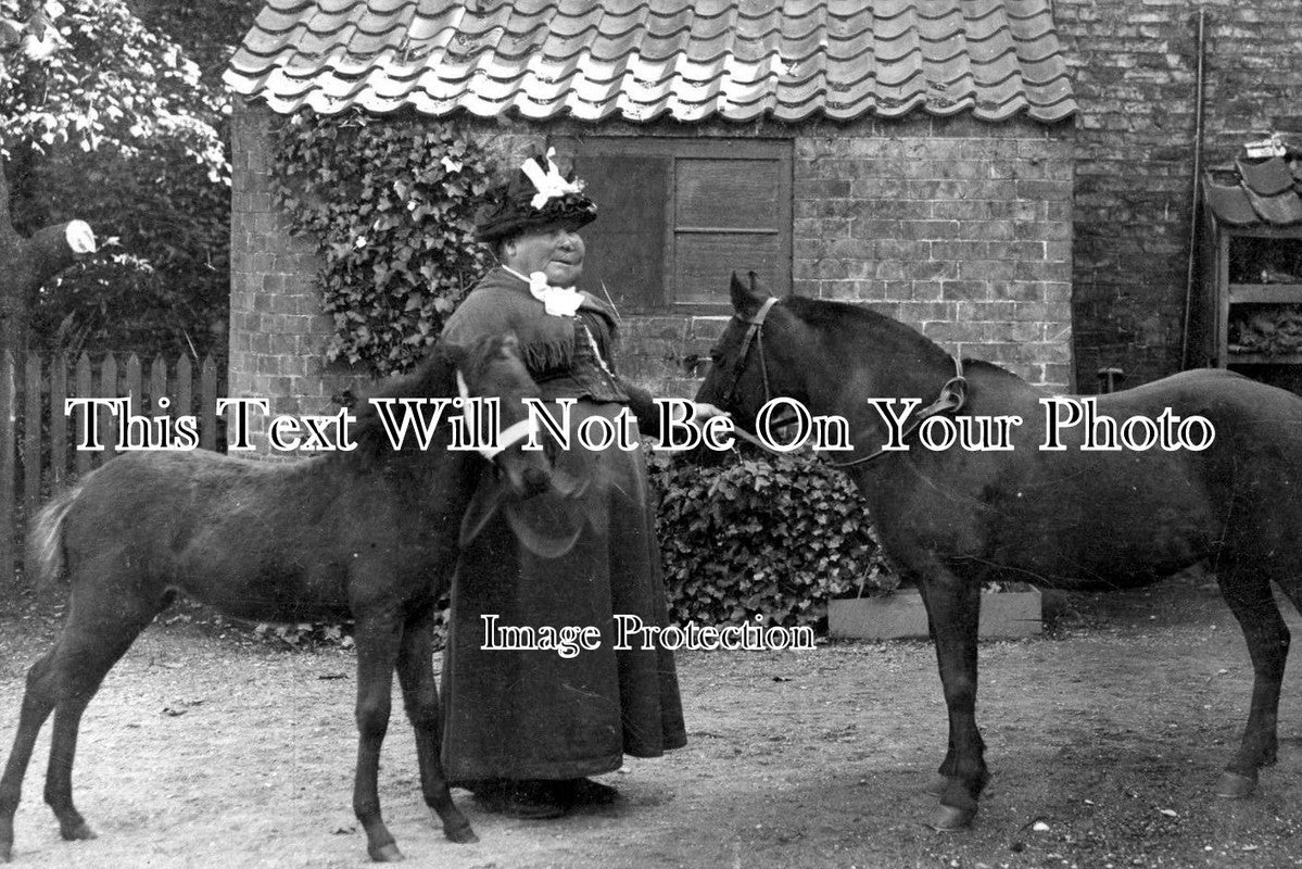 YO 1562 - Hornsea Personality, Miss Rose Carr, East Yorkshire – JB Archive