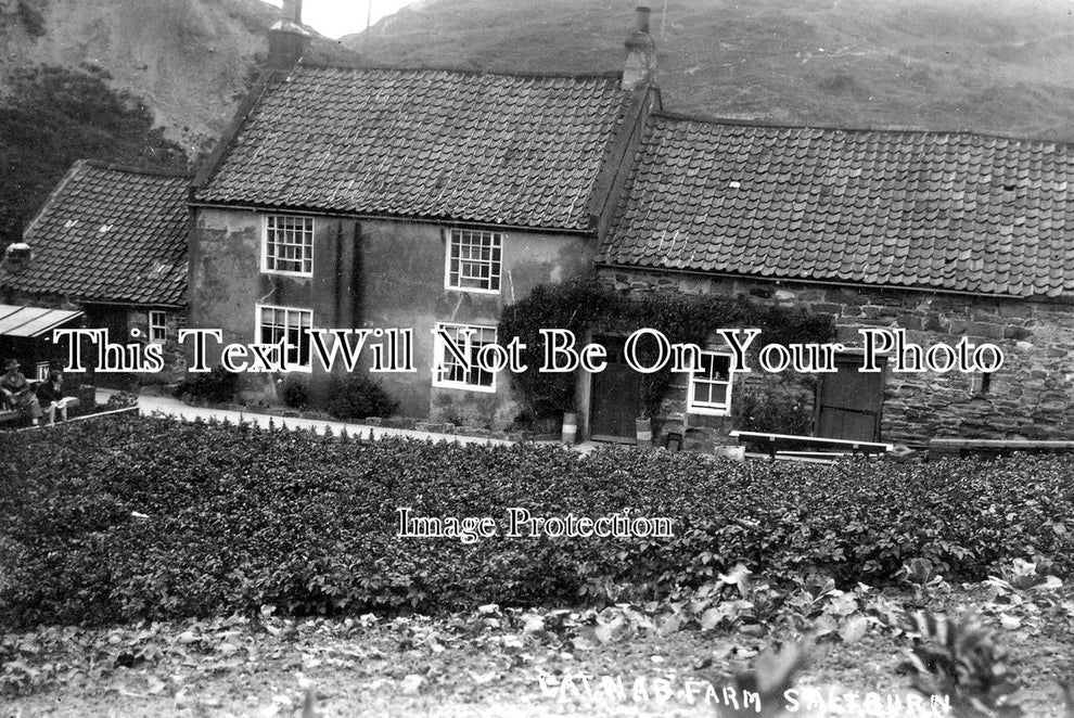 YO 383 - Cat Nab Farm, Saltburn By The Sea, Yorkshire – JB Archive