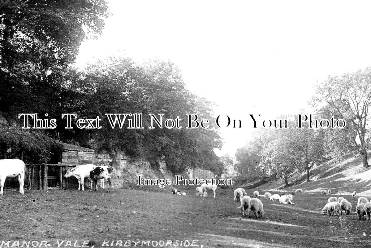 YO 4164 - Manor Vale, Kirbymoorside, Yorkshire – JB Archive