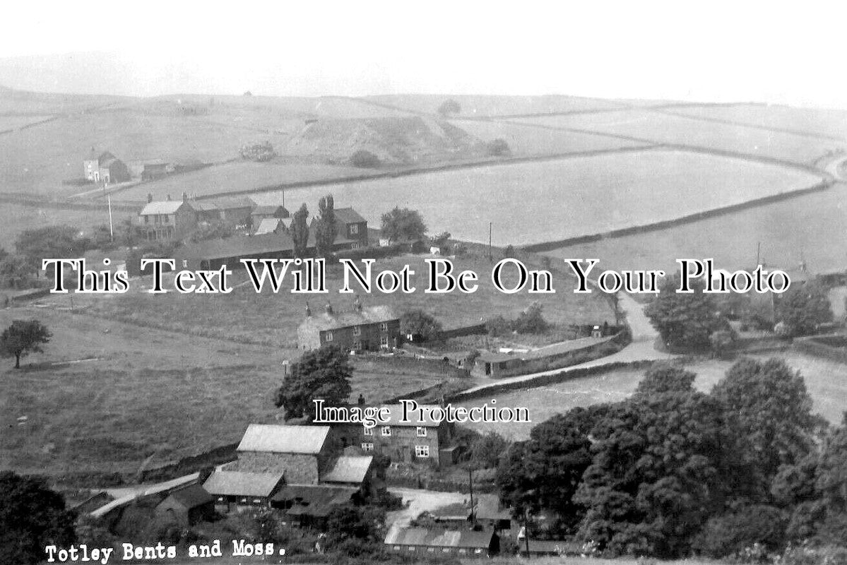 YO 5459 - Totley Bents & Moss, Sheffield, Yorkshire – JB Archive