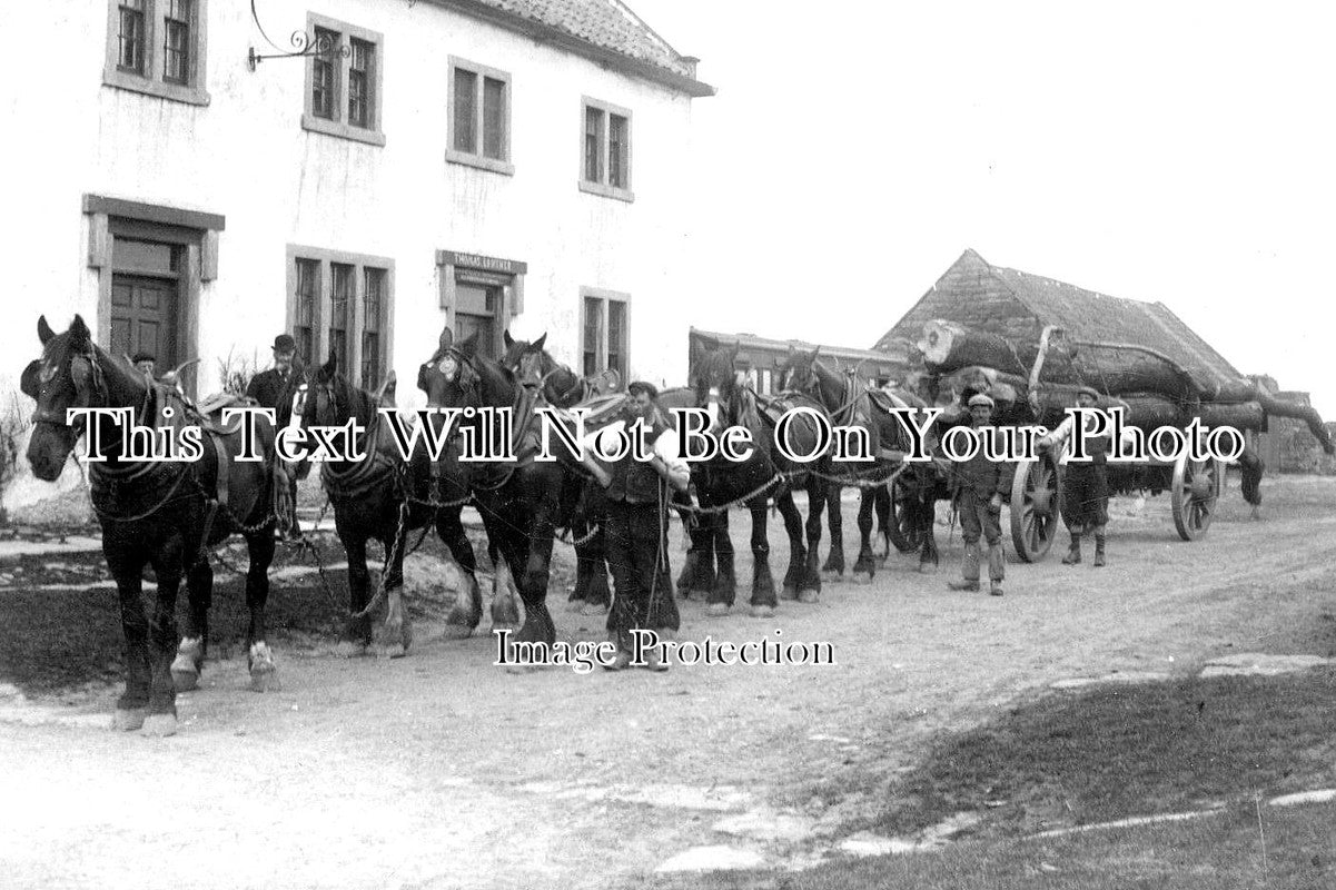 YO 6226 - Wood Carting, Sneaton Near Whitby, Yorkshire – JB Archive